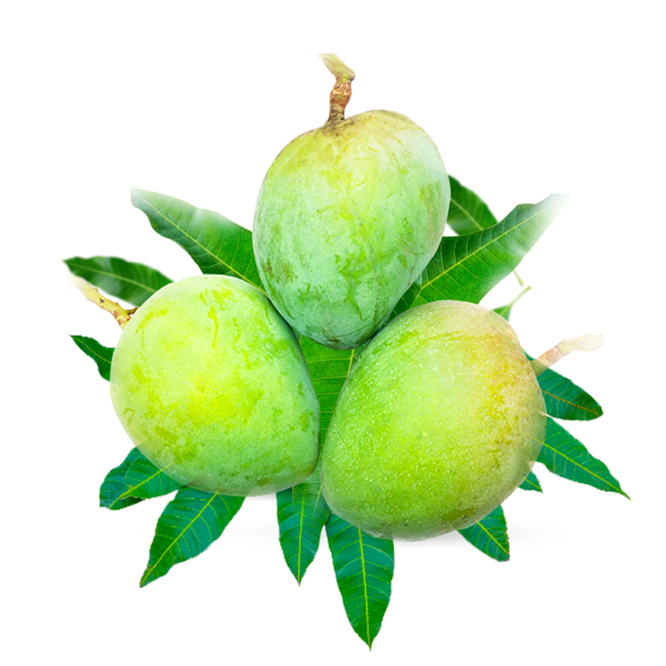 Rangpur Shop | New Experience in Shopping